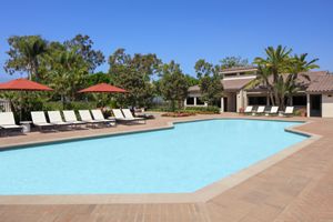 Apartment Photos & Videos - Seascape