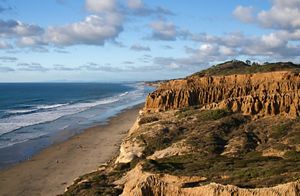 Apartment Photos & Videos - Torrey Hills